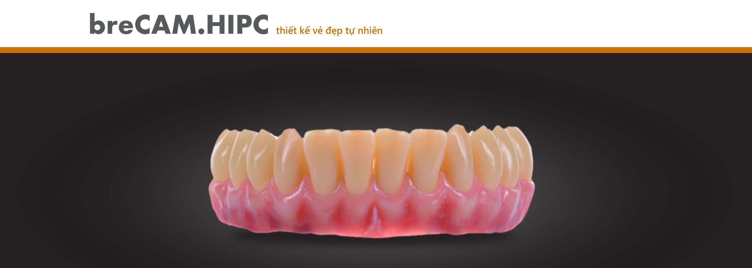 breCAM HIPC | Công ty Cổ phần TM&DV Việt Can